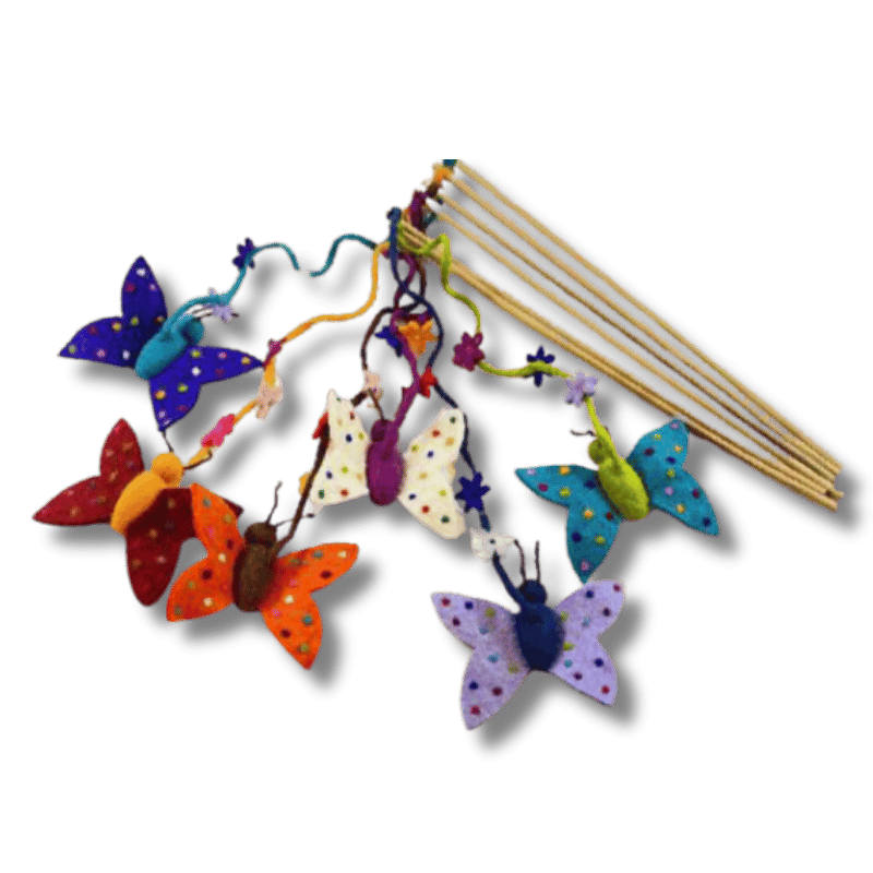 Dharma Dog Karma Cat - Teasers - Butterfly – maplepaw