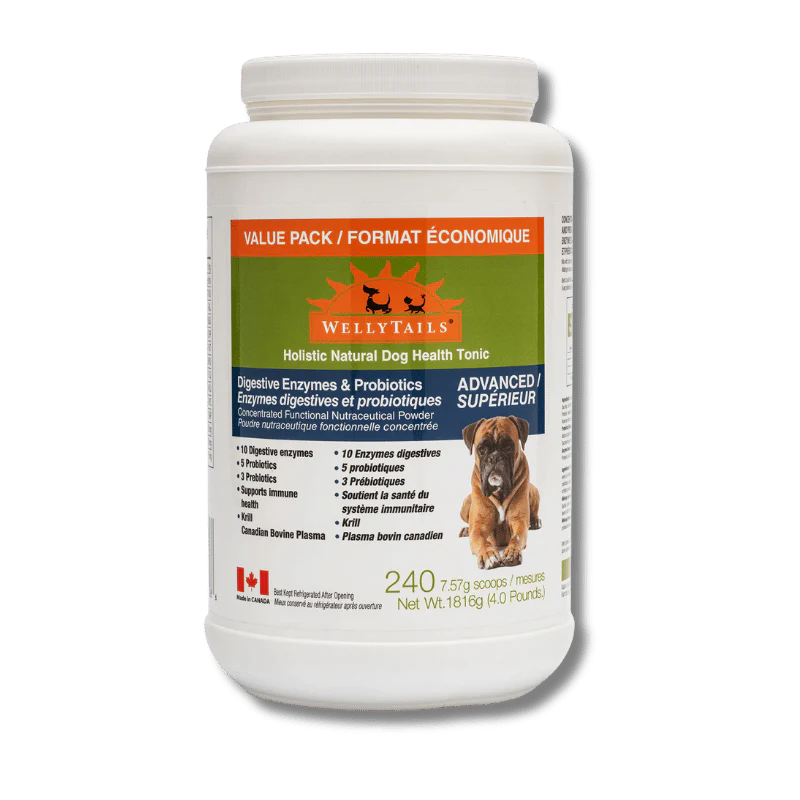 Welly Tails - Digestive Enzymes & Probiotics Advanced – maplepaw